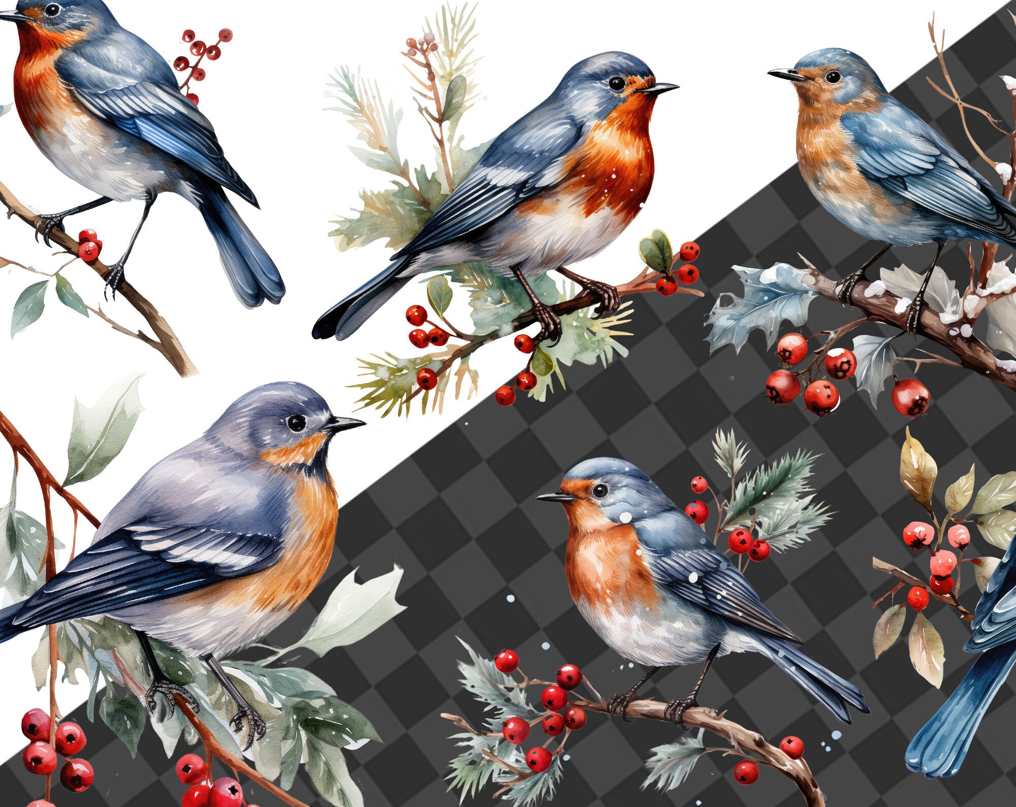 Watercolor Robin Bird Clipart, Forest Bird Robin Png,scandinavian Bird ...