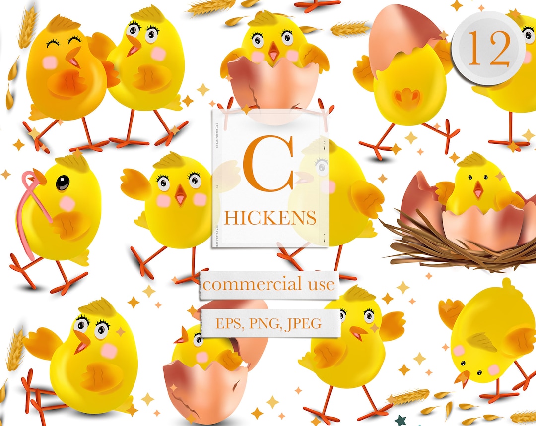 Chickens Clipart, Cute Chick Clipart, Easter Chicken Clipart, Bird Png ...