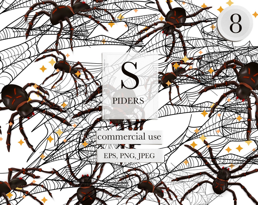 Halloween Spider Clipart, Spiders Png, Scary Spider, Realistic Spider ...