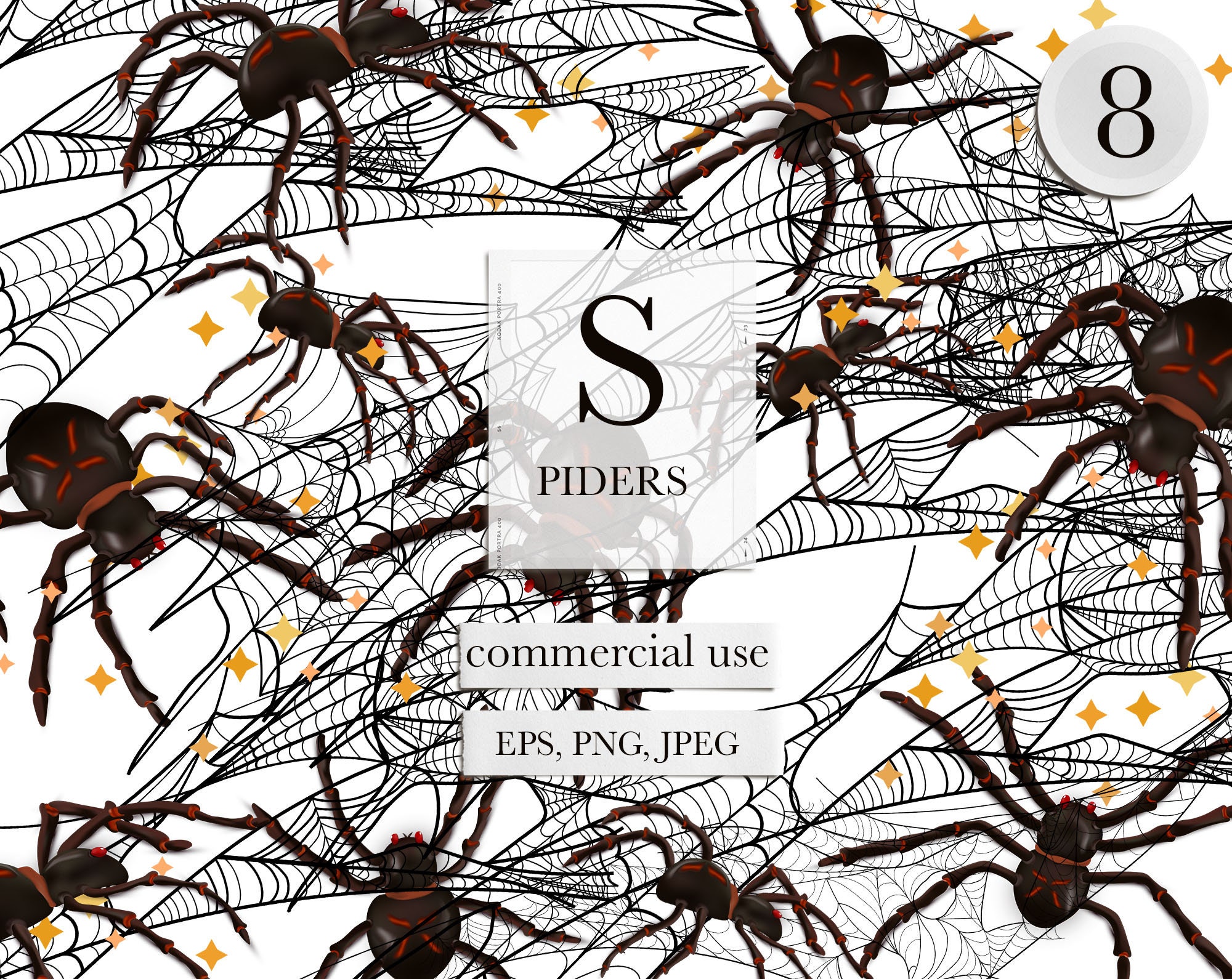 Halloween Spider Clipart, Spiders Png, Scary Spider, Realistic Spider ...