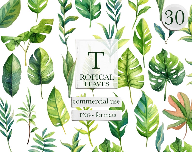 Jungle Nursery Decor, Kawaii Clipart, Monstera Print, Palm Leaf ...