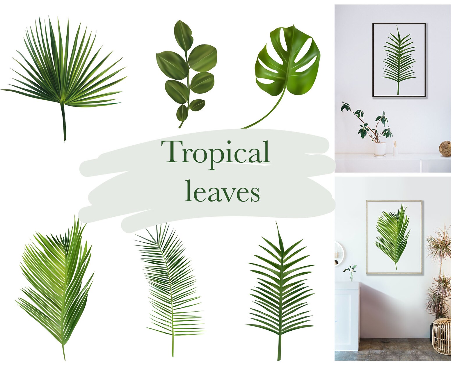 Tropical Leaves Clipart Green Palm Leaves Monstera Leaf Png - Etsy