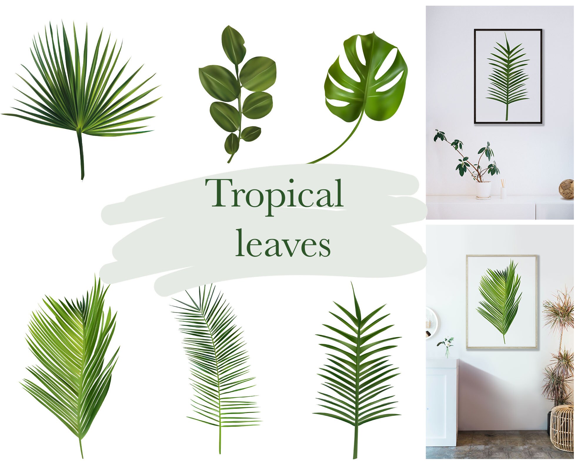 Tropical Leaves Clipart Green Palm Leaves Monstera Leaf Png - Etsy