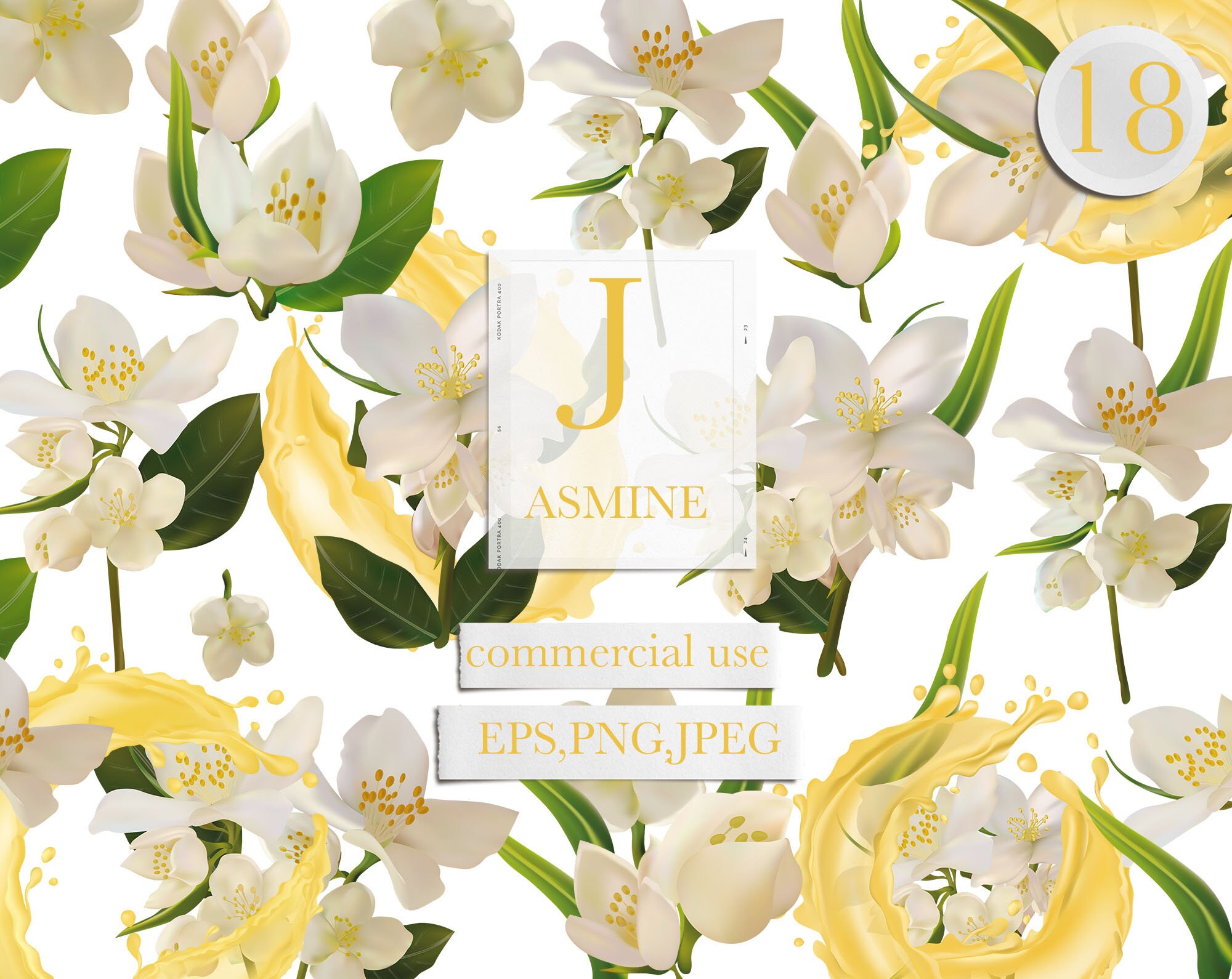 Din Ka Raja Flower Image Clipart