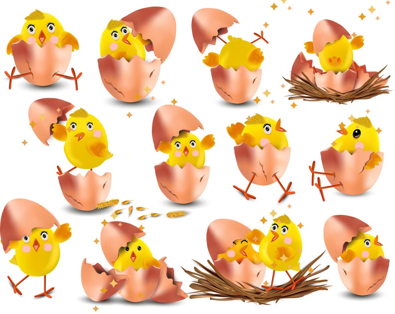 Chickens Clipart, Chicken Png , Spring Chick Clipart, Easter Png, Cute ...