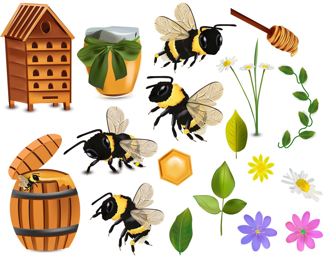 Bumble Bee Decor, Honey Soap, Bee Png, Bee Birthday Invite, Honey Comb ...