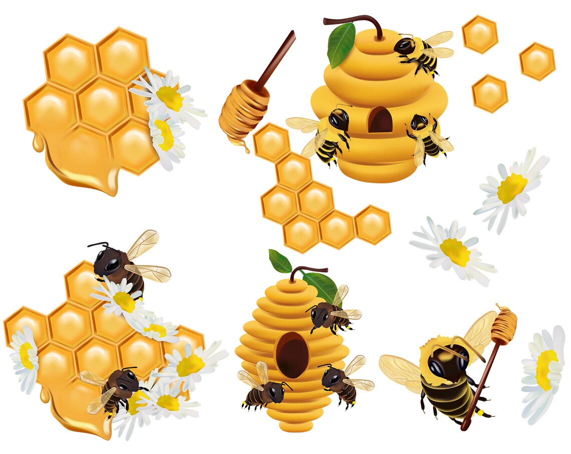 Honey Bee Png, Bee Clipart, Busy Bee Clipart, Honey Comb Clipart, Bee ...