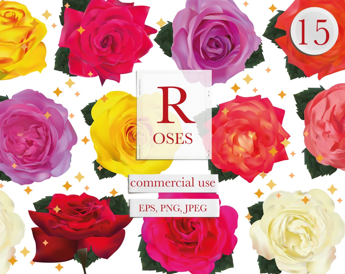 Colorful Roses Clipart, Pink Roses, White Rose, Clipart Flowers, Summer ...