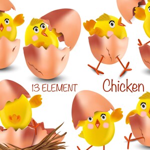 Chickens Clipart Chicken Png Spring Chick Clipart Easter - Etsy