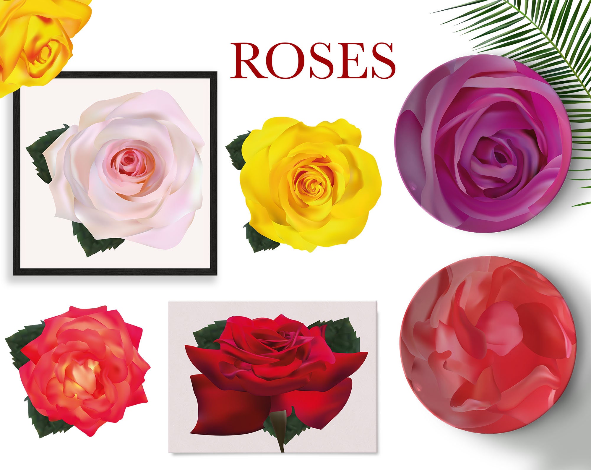 Colorful Roses Clipart, Pink Roses, White Rose, Clipart Flowers, Summer ...