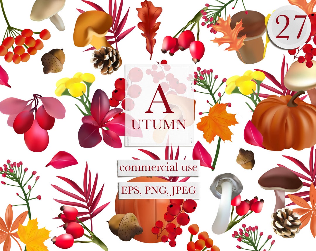 Mushroom Clipart, Kawaii Clipart, Maple Leaf Png, Wildflower Png ...