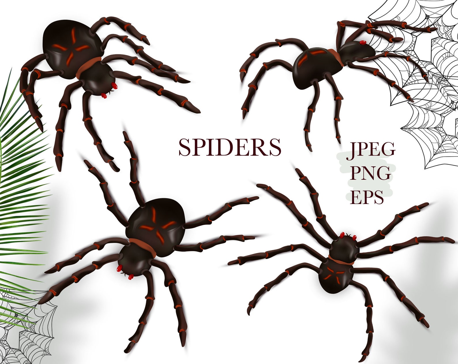 Halloween Spider Clipart Spiders Png Scary Spider Realistic - Etsy