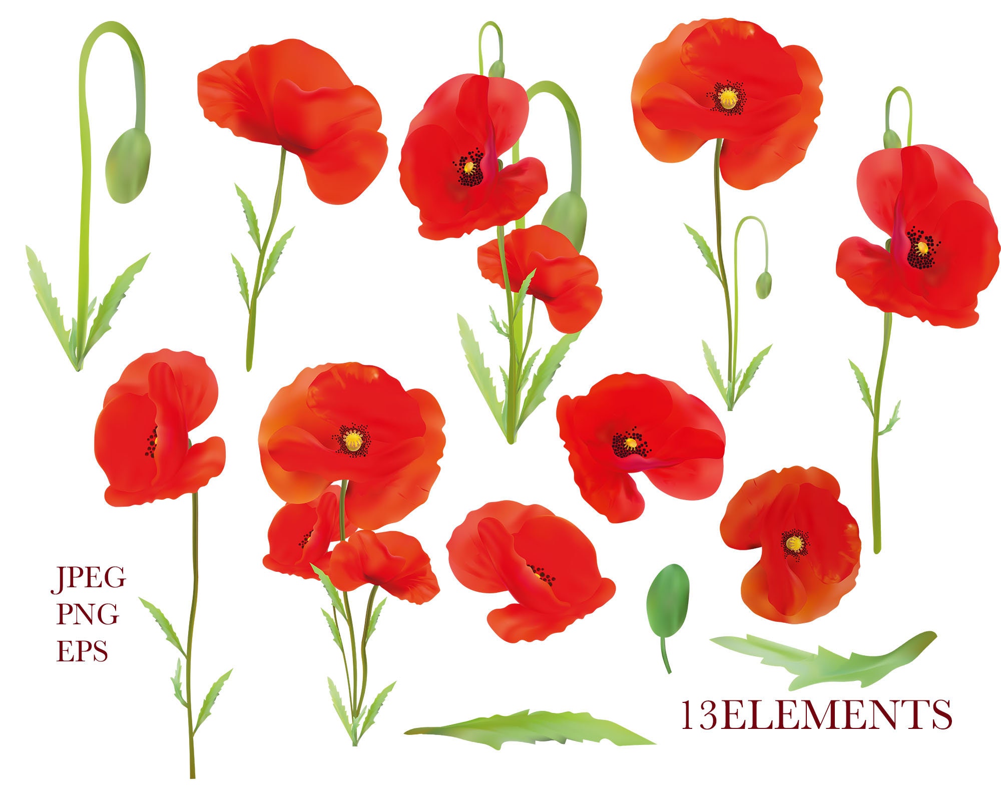 Poppy Clipart, Poppy Png, Poppy Wall Art, Red Flowers Clipart, Poppy ...