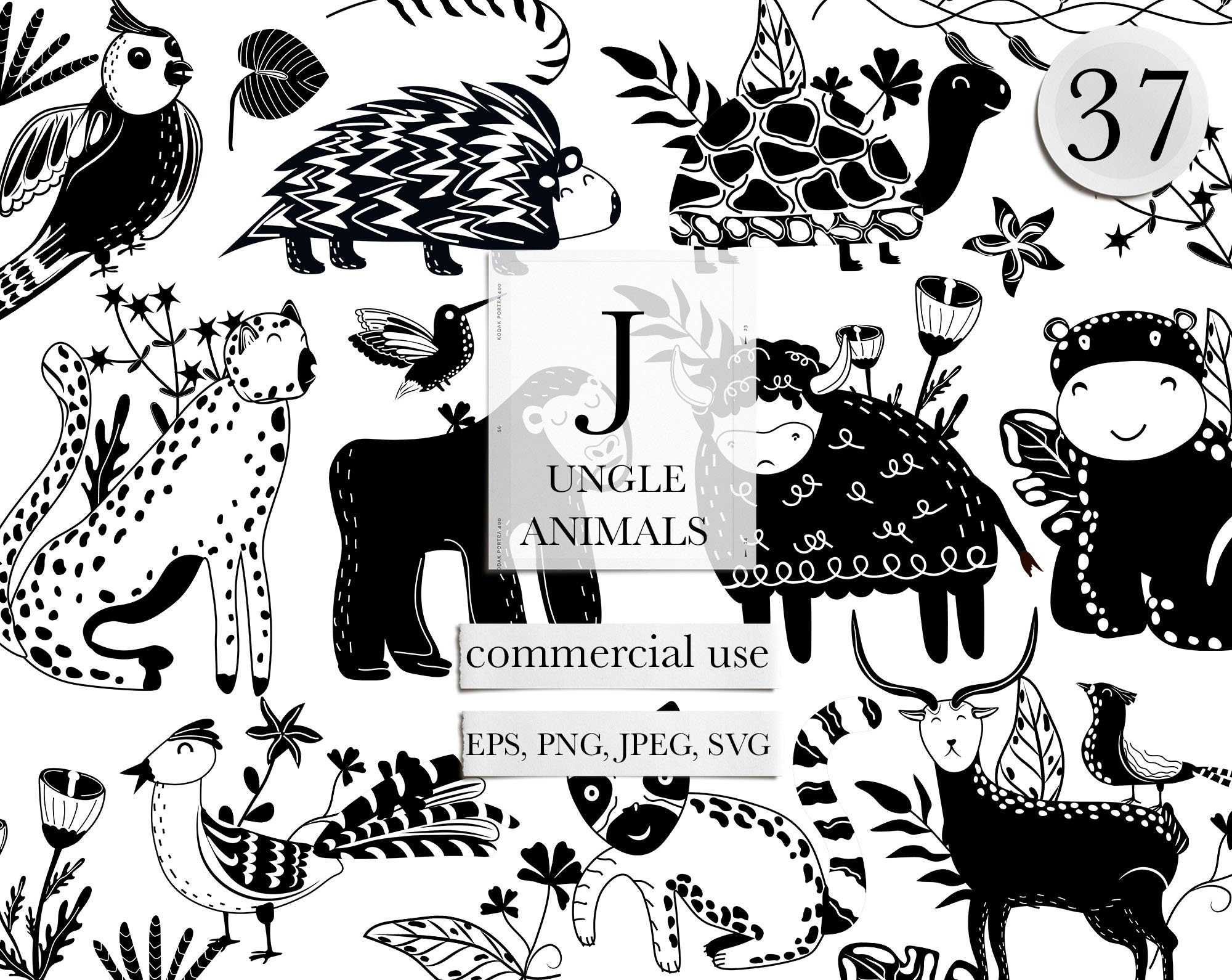 Jungle Vector Black And White