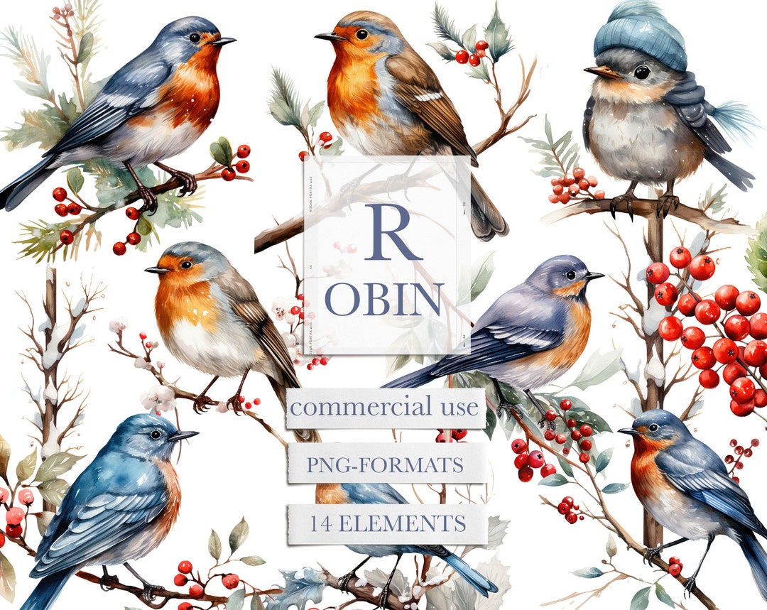 Watercolor Robin Bird Clipart, Forest Bird Robin Png,scandinavian Bird ...