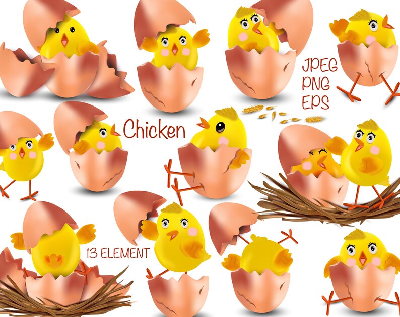 Chickens Clipart Chicken Png Spring Chick Clipart Easter - Etsy
