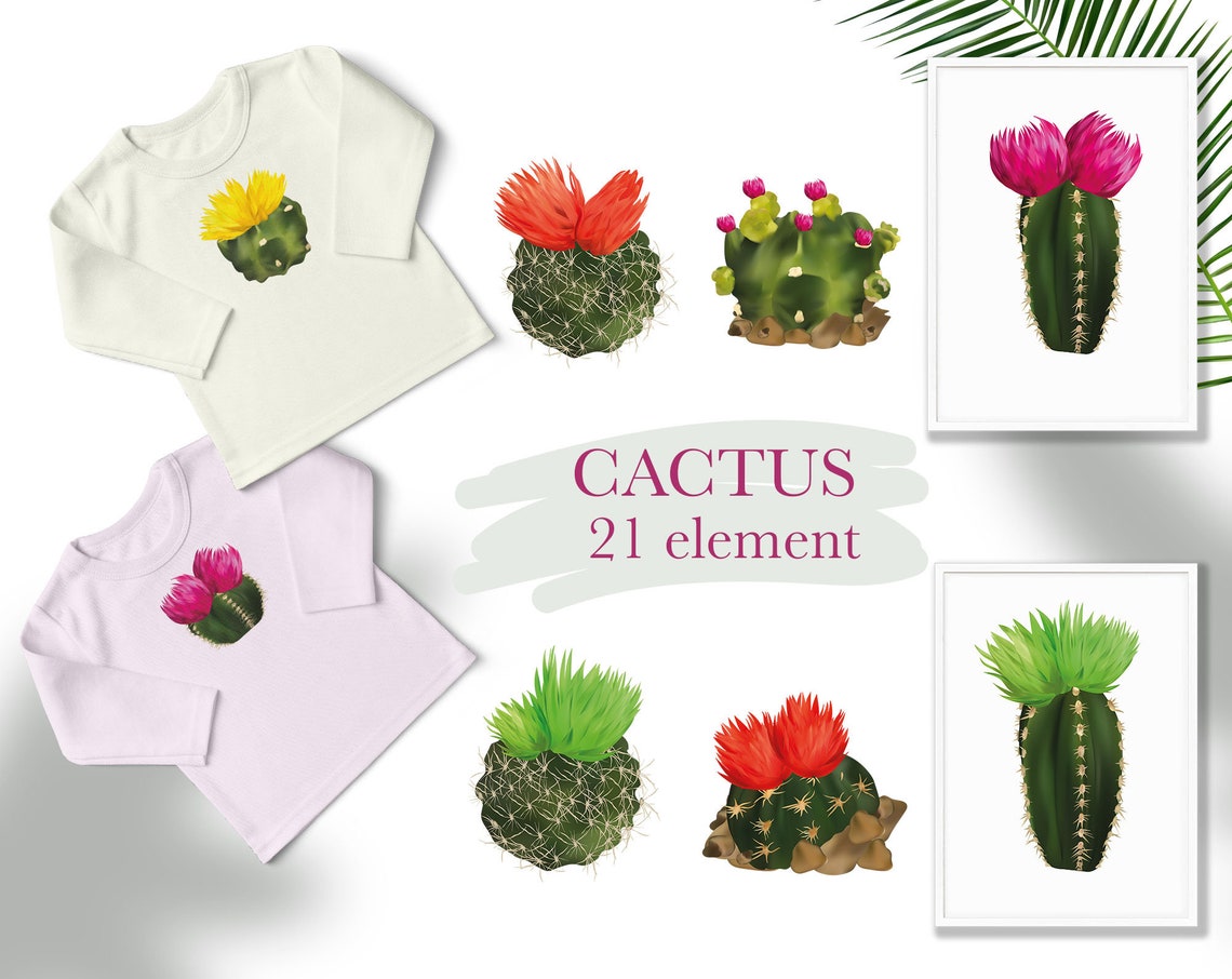 Cactus Clipart Cactus Flower Png Summer Cactus Clip Art - Etsy