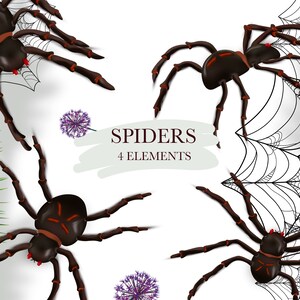 Halloween Spider Clipart Spiders Png Scary Spider Realistic - Etsy