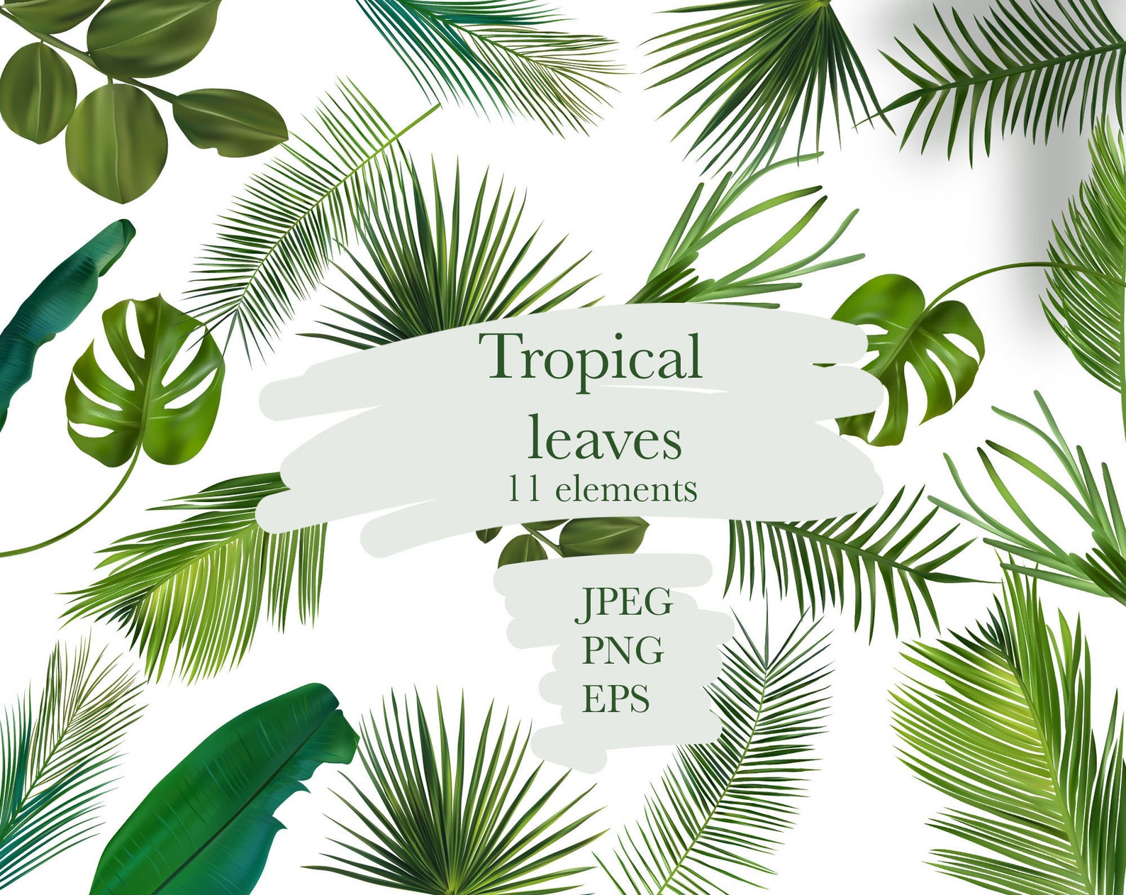 Tropical Leaves Clipart Green Palm Leaves Monstera Leaf Png - Etsy