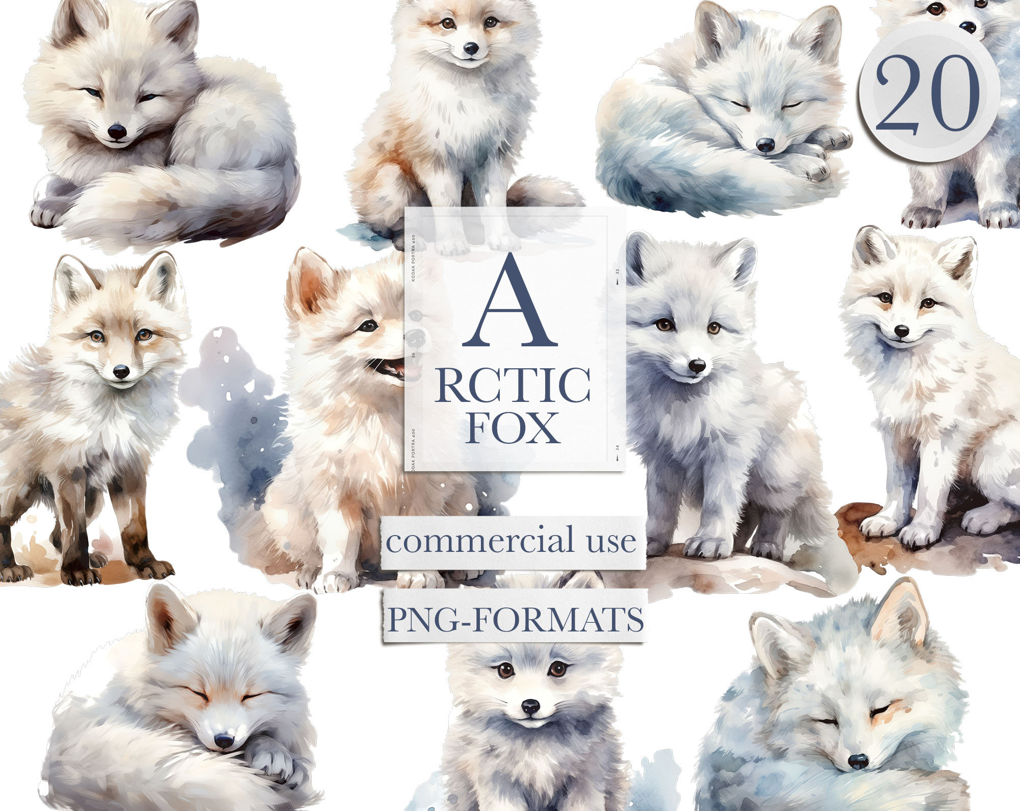 Baby Arctic Fox Clipart