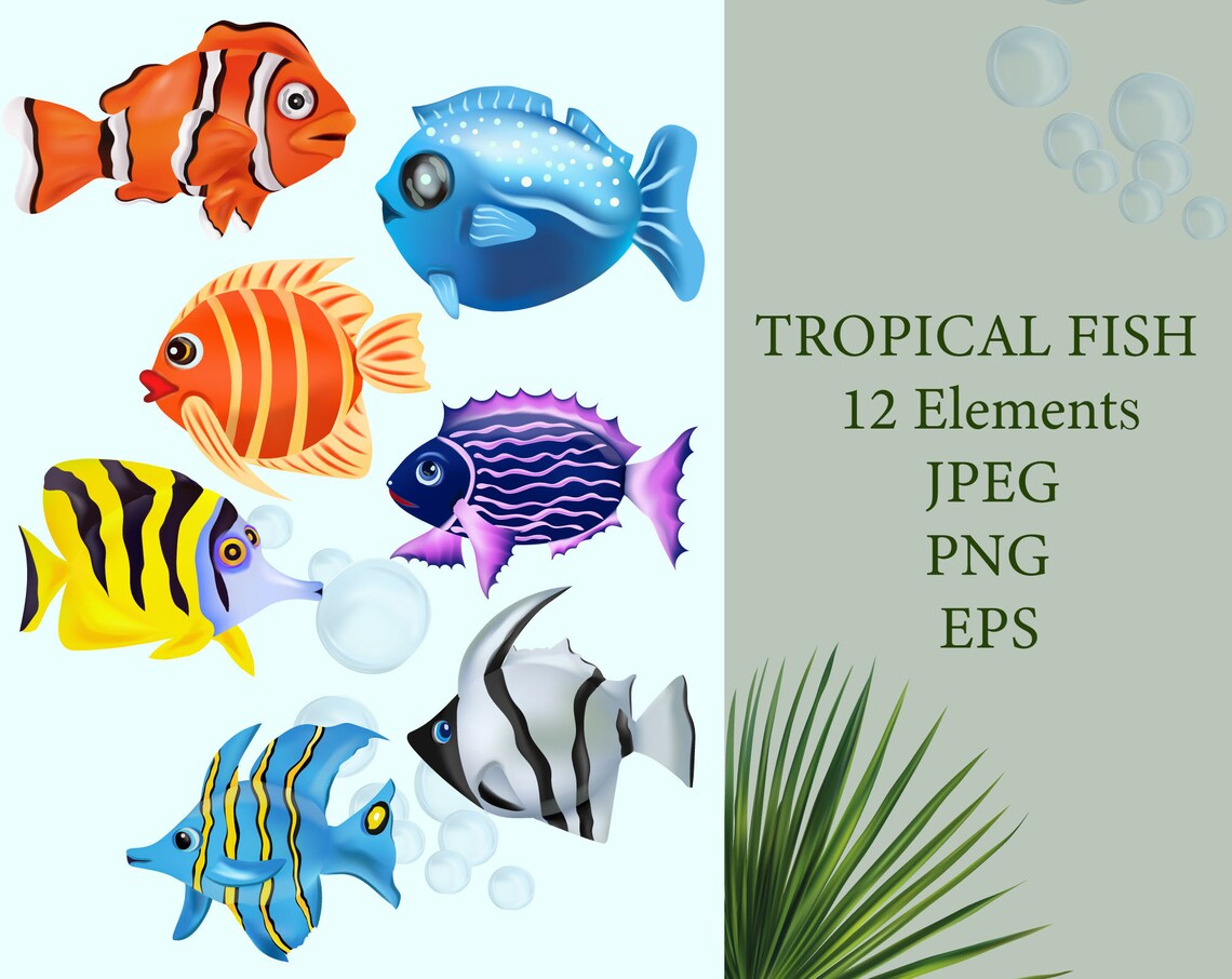 Fish Clipart Sea Animal Png Colorful Fish Illustration | Etsy