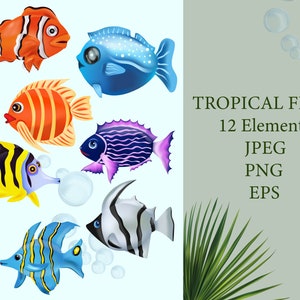 Fish Clipart Sea Animal Png Colorful Fish Illustration | Etsy