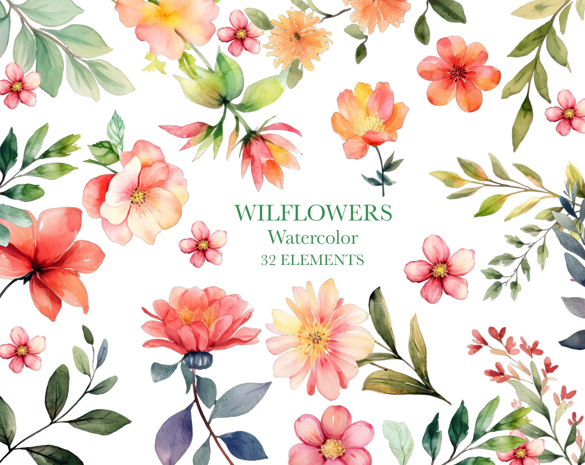 Watercolor Wildflower Clipart Summer Flower Clip Art - Etsy