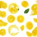 Lemonade Png, Lemon Png, Lemon Vector, Fruit Clipart, Lemonade Banner ...