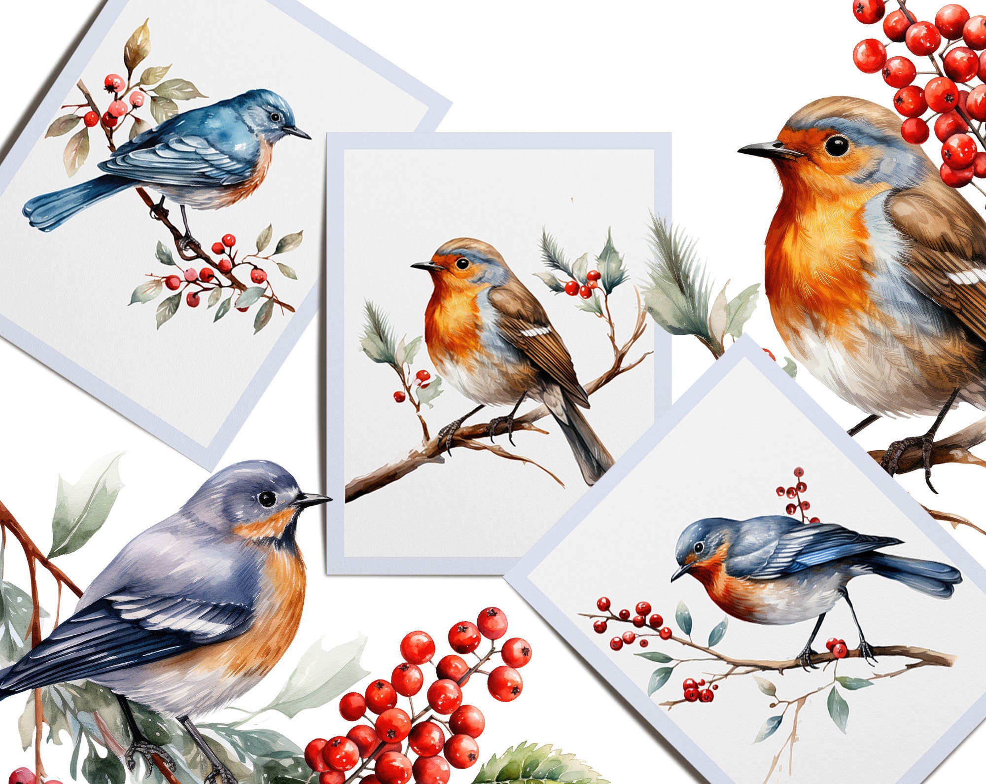 Watercolor Robin Bird Clipart, Forest Bird Robin Png,scandinavian Bird ...