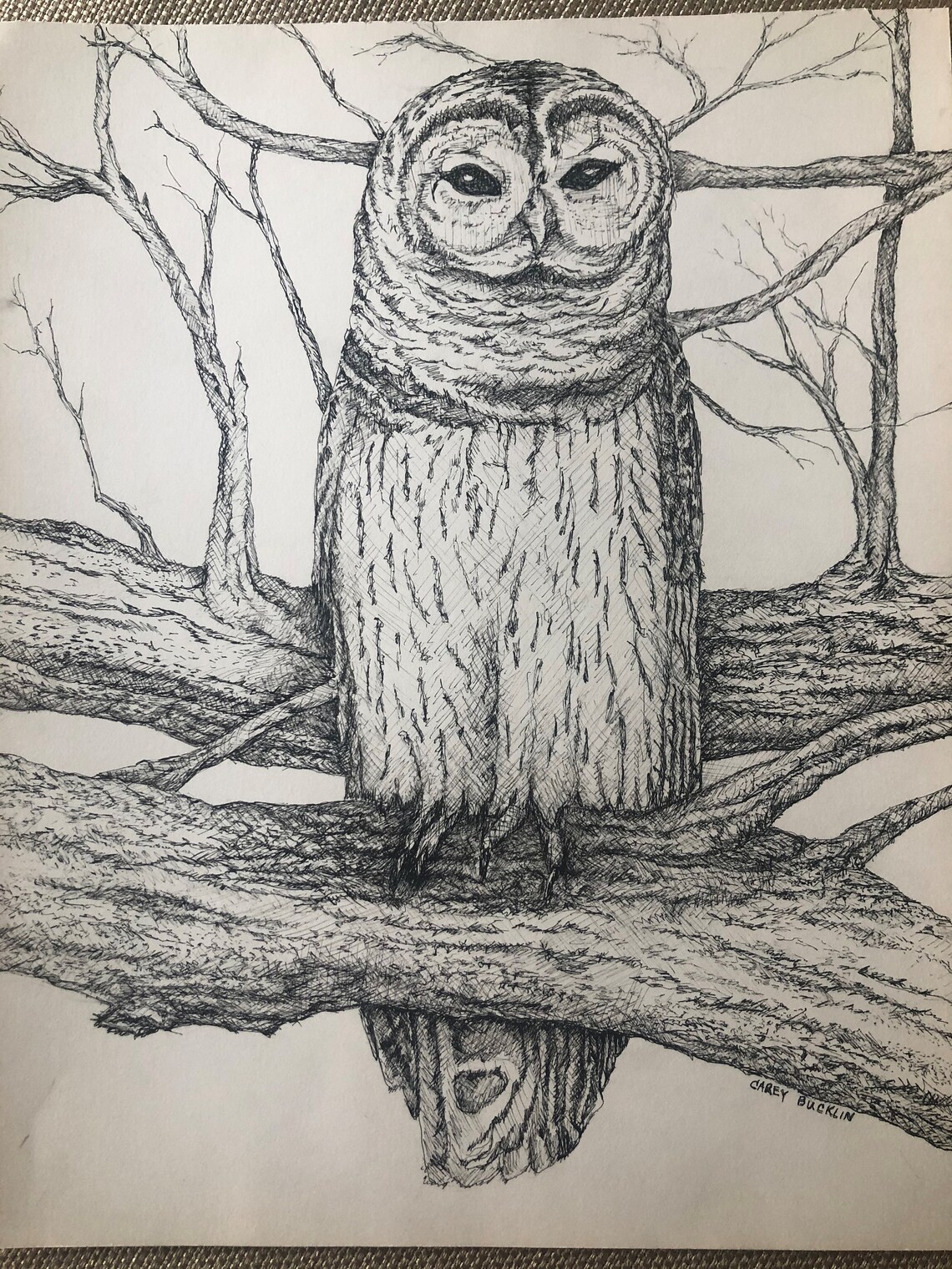 Original Ink Drawings Pen and Ink Barred Owls Owls in | Etsy