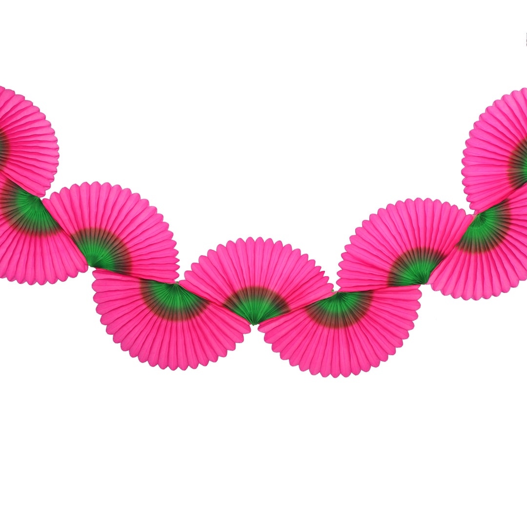 Paper Dreams Two-tone Fan Garland Bright | Streamers for Party ...