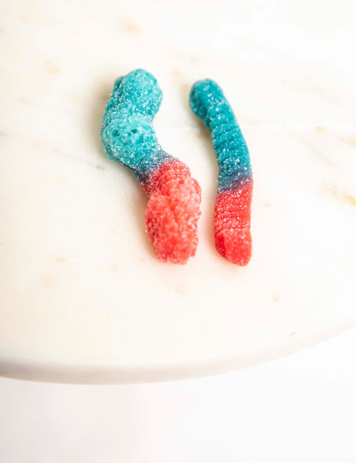 Freeze Dried Sour Gummy Worm Candy 1.5oz Great Holiday Gift and ...