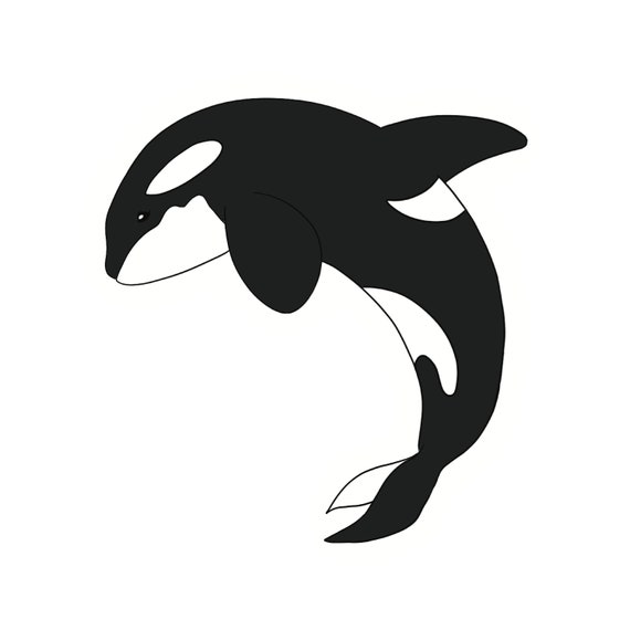 Paper Stickers orca matte sticker etna.com.pe