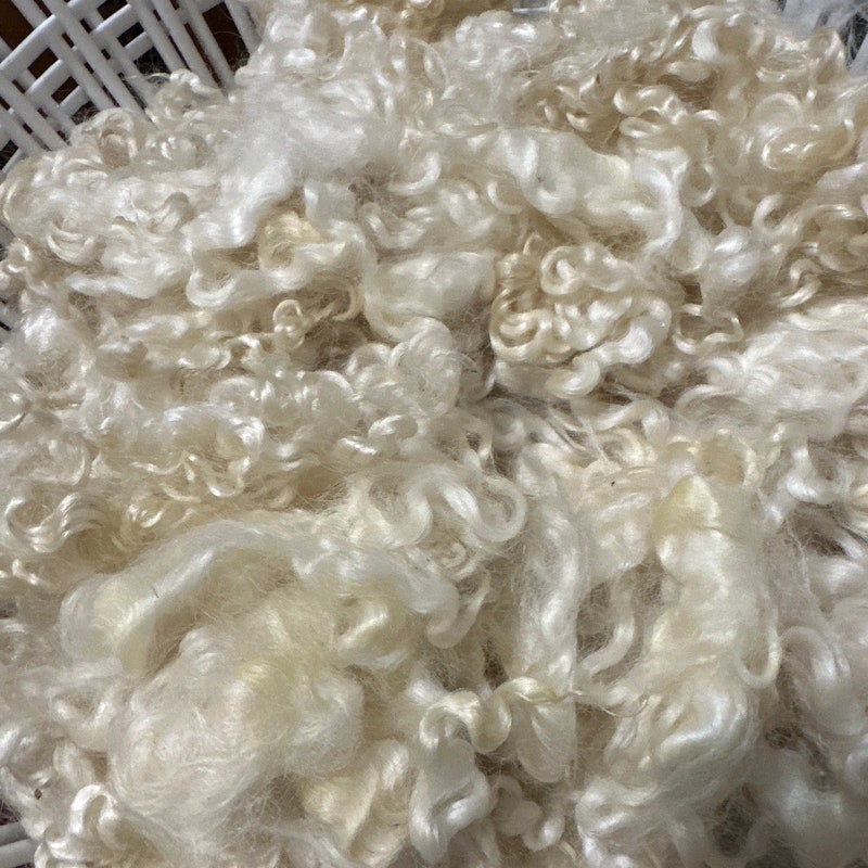 Raw Fleece and Locks - Etsy