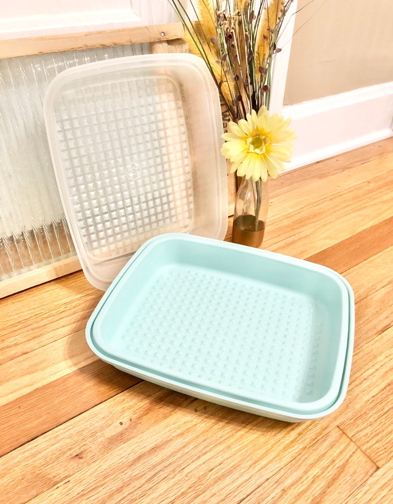 Vintage Tupperware Meat Marinating Container 1294-7 in Mint | Etsy