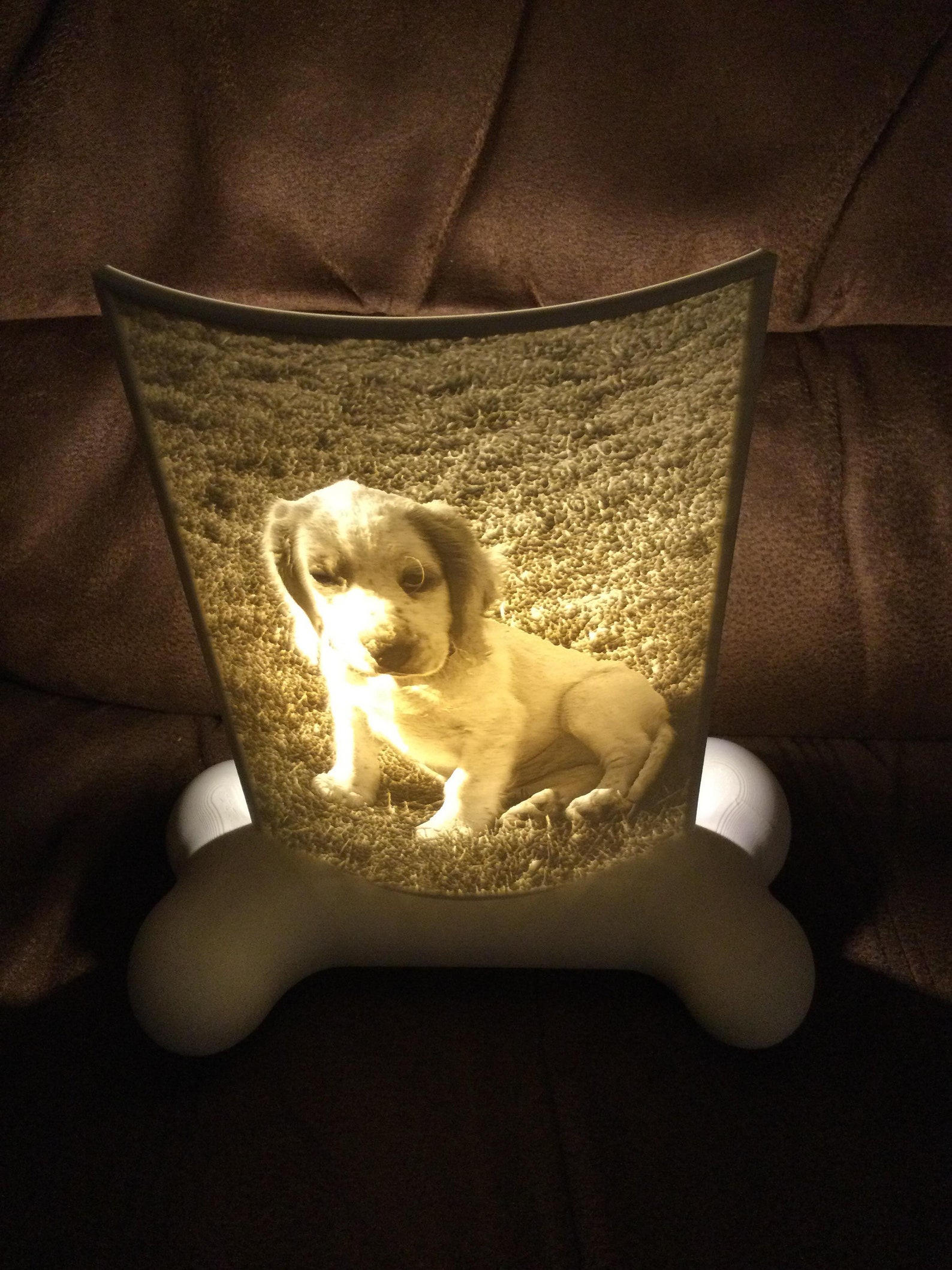 Lithophane Pet Photo Lamp - Etsy