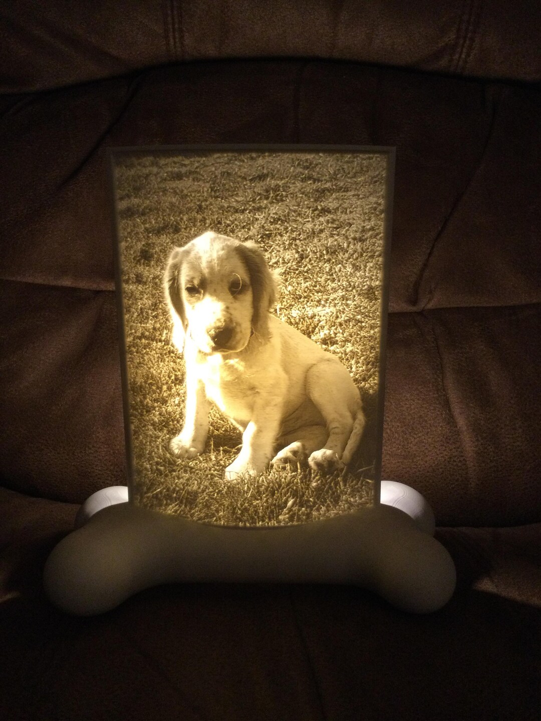 Lithophane Pet Photo Lamp - Etsy
