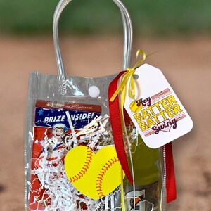 Softball Treat Bags Player Gifts End of Season Fan Gifts Sports Party ...