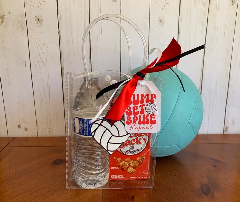 Volleyball Party Favor Bags for Team Thank You Gift Bags Party Favor ...