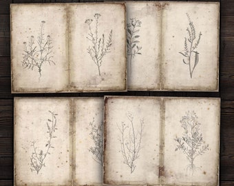 Digital Herbs Botanical Pages, Printable Herb Ephemera for Junk ...