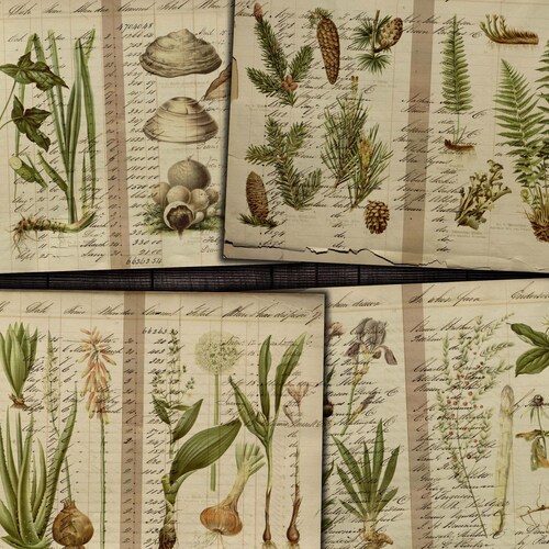 Junk Journal Printable Botanical Pages Vintage Forest - Etsy