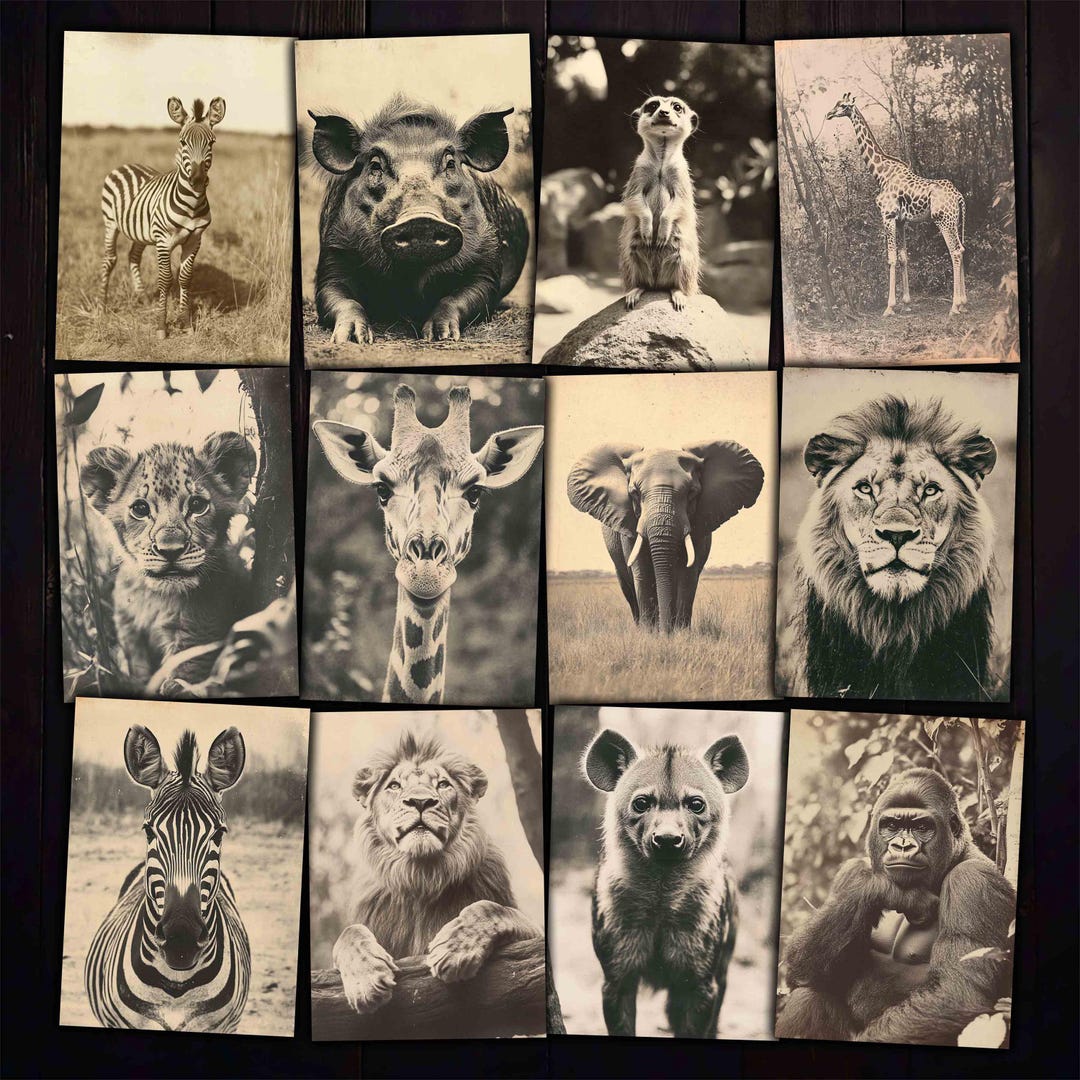 Printable Safari Animals Sepia Photographs Collage Sheets, African ...