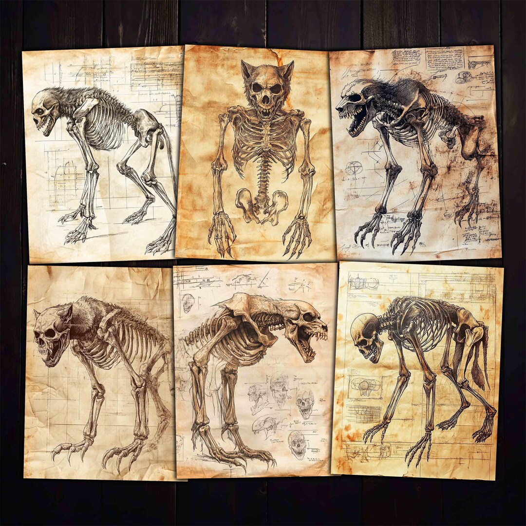 Werewolf Skeleton Printable Paper: Gothic Halloween Collage (digital ...