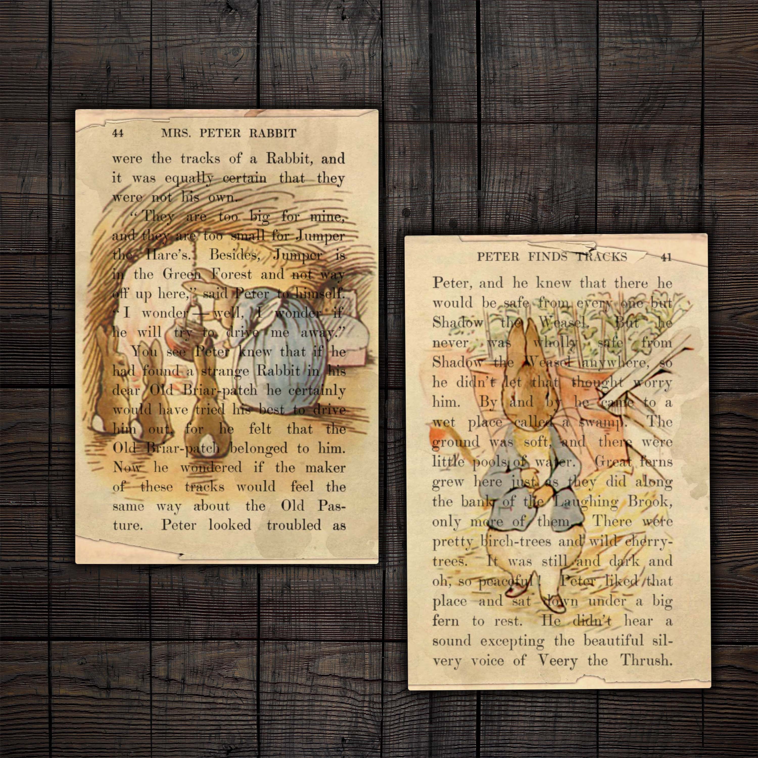 Peter Rabbit Junk Journal Printable Pages 6x4 Beatrix Potter - Etsy