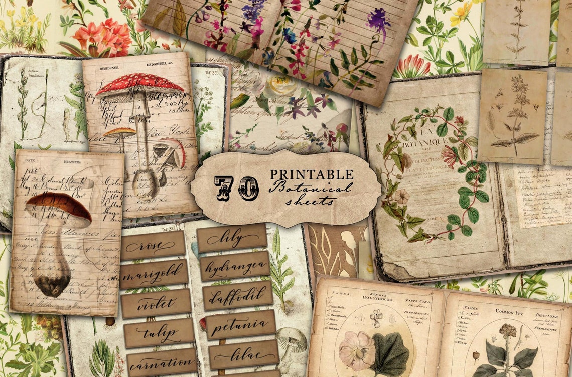 Botanical Printable BUNDLE Digital Pages Papers Ephemera - Etsy