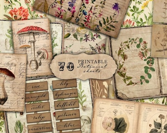Digital Herbs Botanical Pages, Printable Herb Ephemera for Junk ...