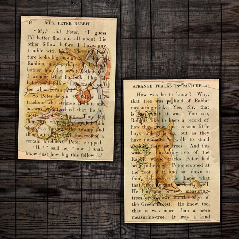 Peter Rabbit Junk Journal Printable Pages 6x4 Beatrix Potter | Etsy UK