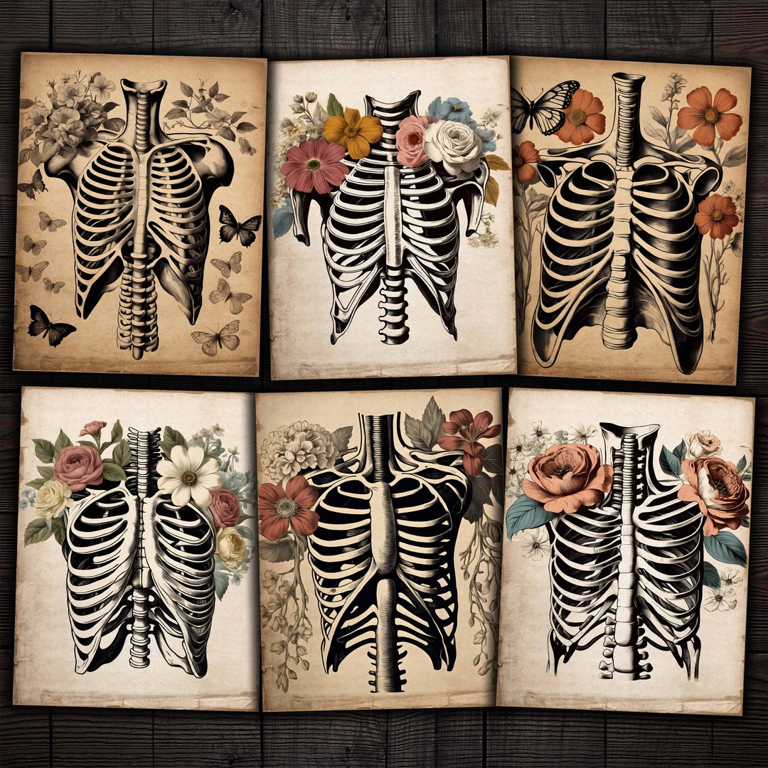 Gothic Ribcage and Flowers Human Anatomy Printable Papers, Antique ...