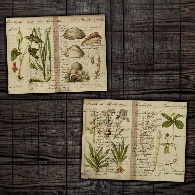 Junk Journal Printable Botanical Pages Vintage Forest - Etsy