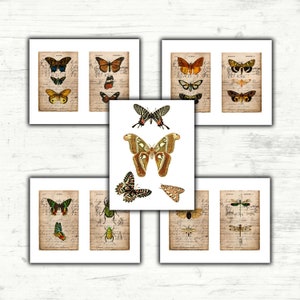 Digital Bundle Insects and Butterflies Kit, Printable Ephemera for Junk ...